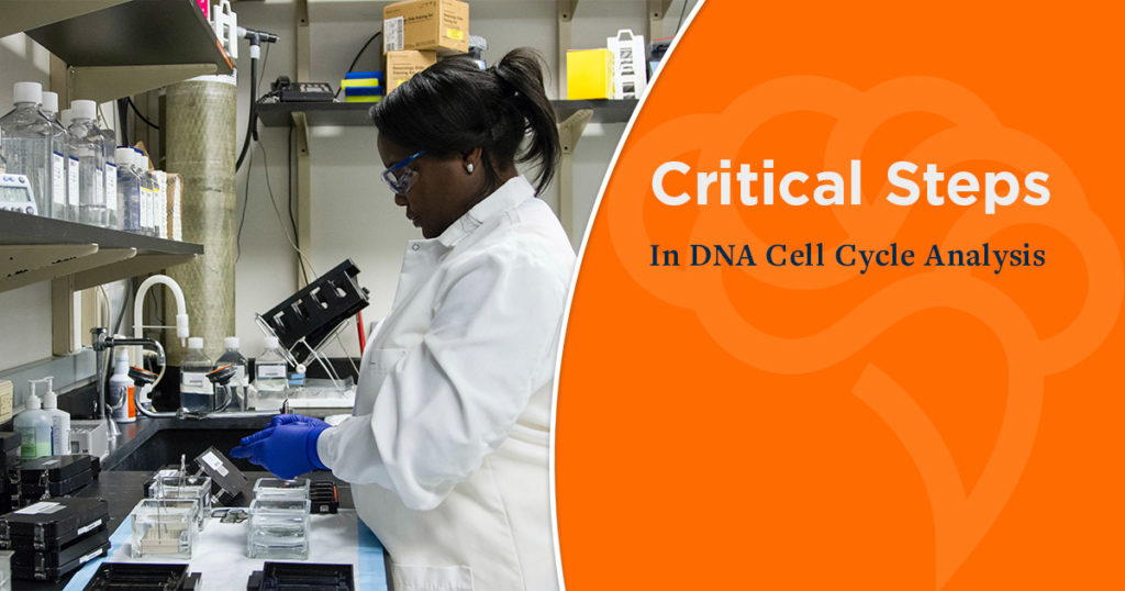 Critical Steps in DNA Cell Cycle Analysis - ExpertCytometry
