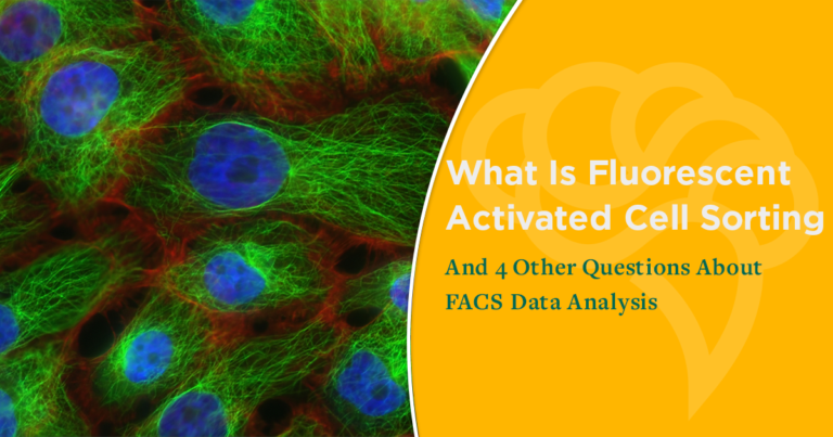 What Is Fluorescent Activated Cell Sorting And 4 Other Questions About ...