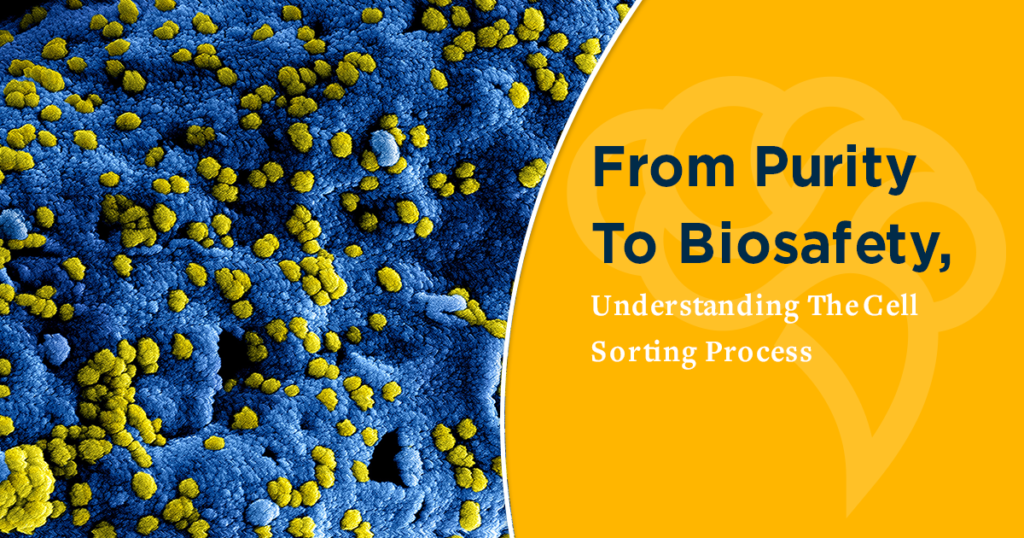 From Purity To Biosafety, Understanding The Cell Sorting Process ...