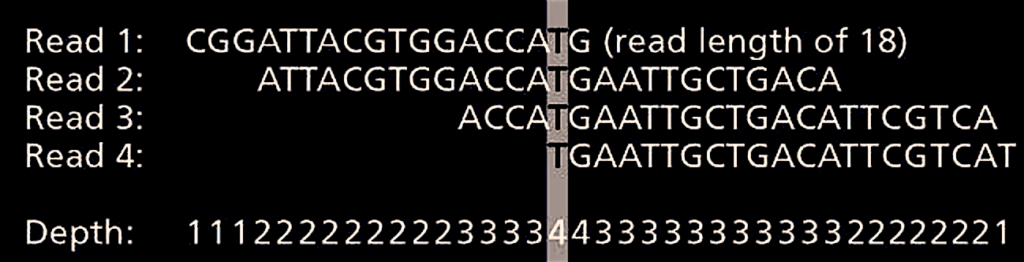 5 Essential Concepts In Genome Assembly From NGS data - ExpertCytometry